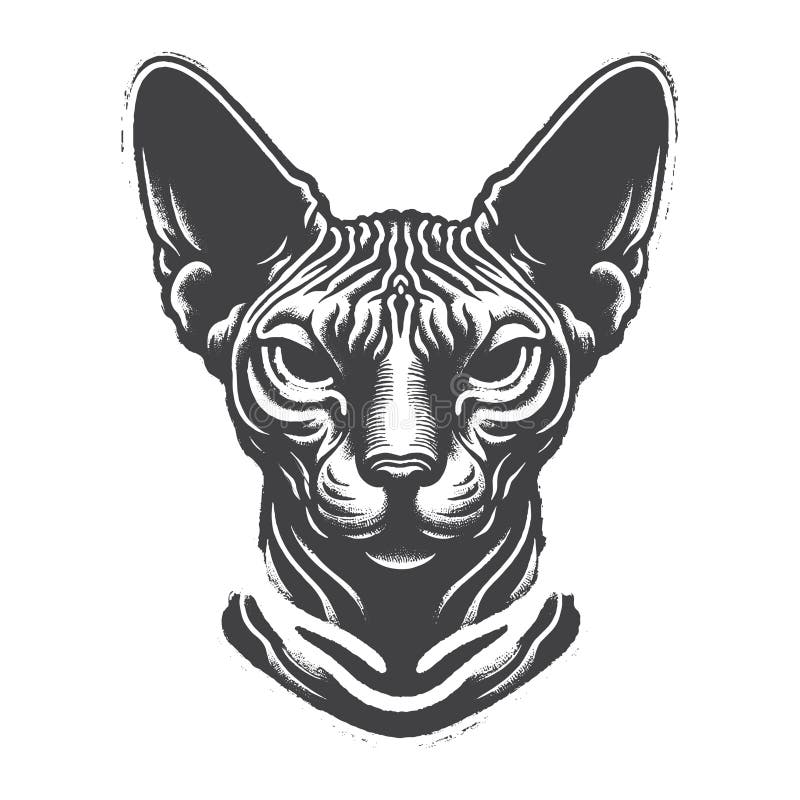 Vintage Hand Drawn Sphynx Cat Angry Expression Vector Illustration ...