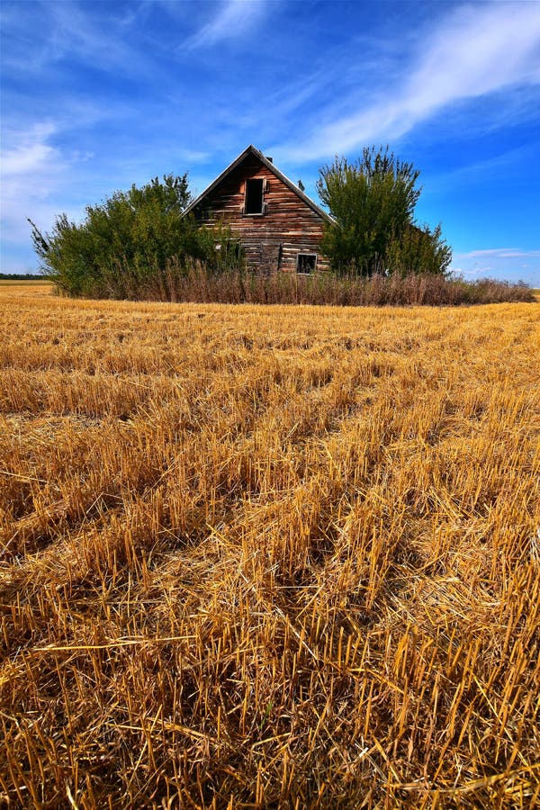 Vintage Homestead stock photo. Image of exterior, middle - 101212770