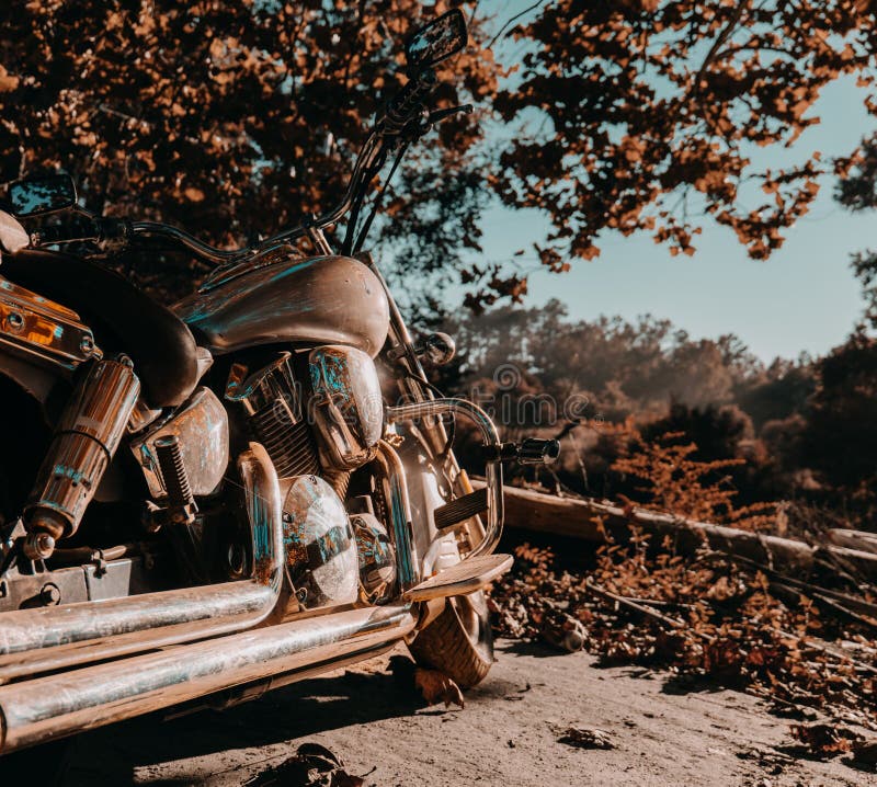 Vintage Honda Motorcycle Parked in Fall Colors Editorial Photo - Image ...