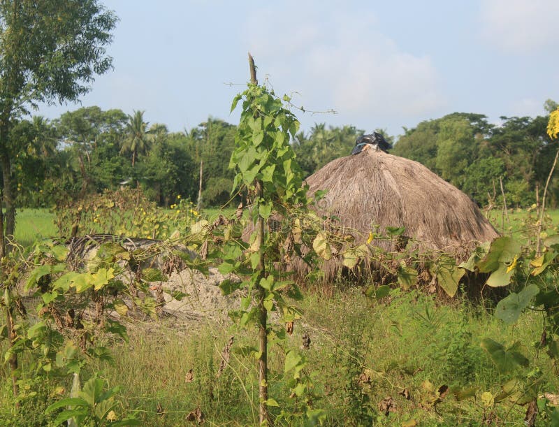 Vintage House in Indian Village Stock Image - Image of flower, soil ...