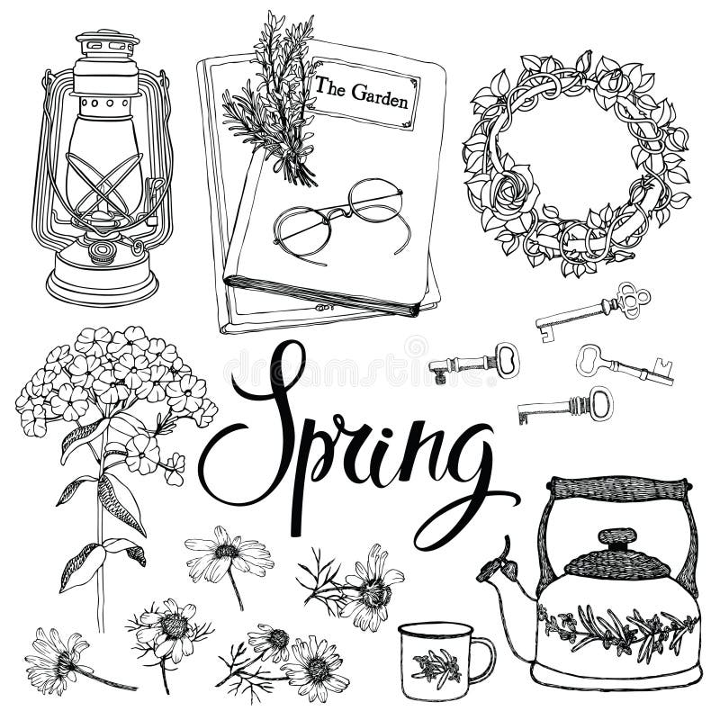 Vintage Household Objects and Flowers, Spring Theme. Hand Drawing and ...