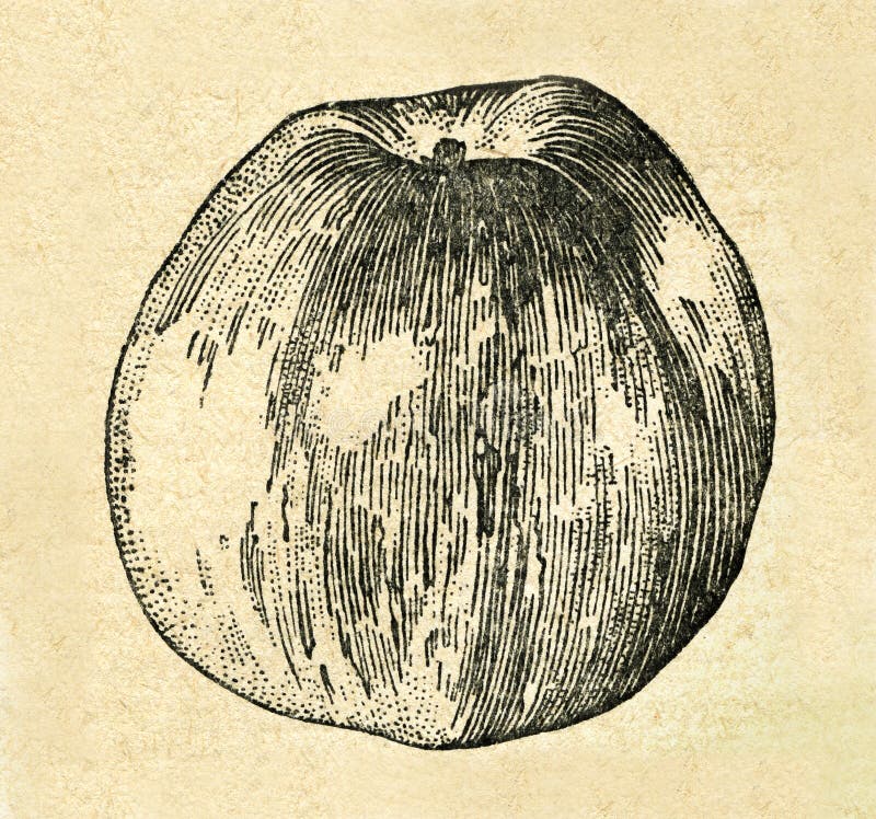 Soviet Book Stock Illustrations – 435 Soviet Book Stock Illustrations ...