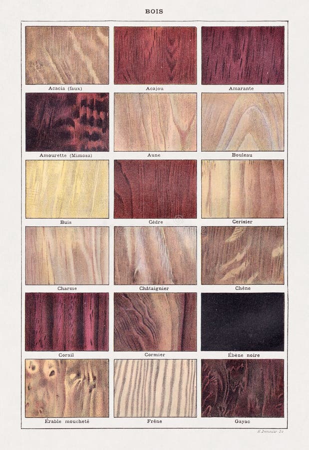 Vintage Illustration about the Different Wood Patterns According To ...