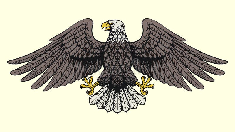 Vintage Illustration Hand Drawn of Bald Eagle Spread the Wings Stock Illustration - Illustration ...