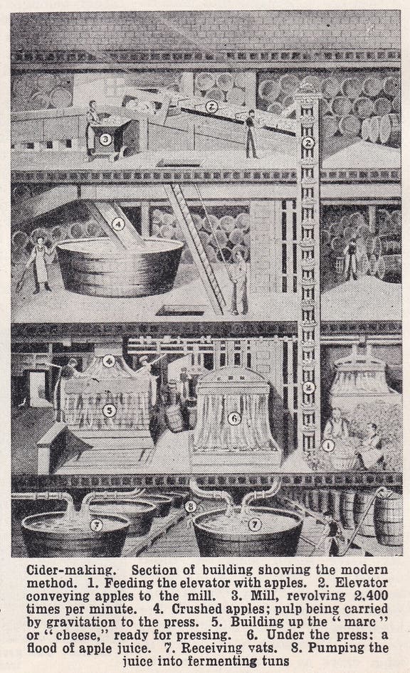 Vintage Illustrations of Cider Making 1900s. Editorial Photography ...