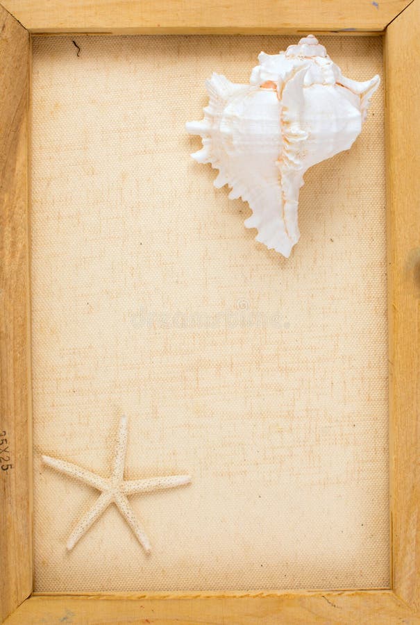 Vintage Image of Conch Shell and Starfish Stock Image - Image of ...
