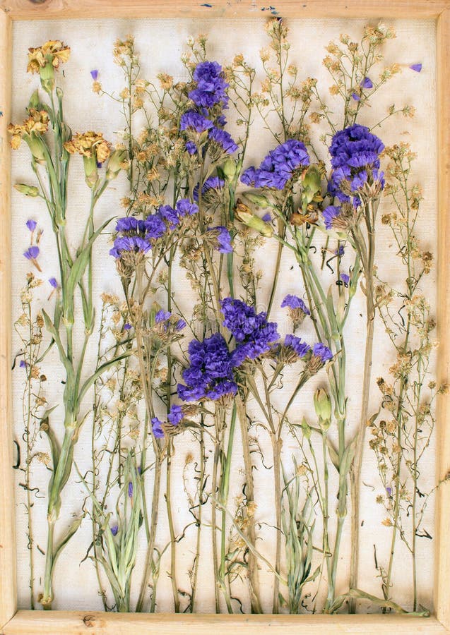 Vintage Image of Dried Flowers Stock Image - Image of wood, dried: 58756175