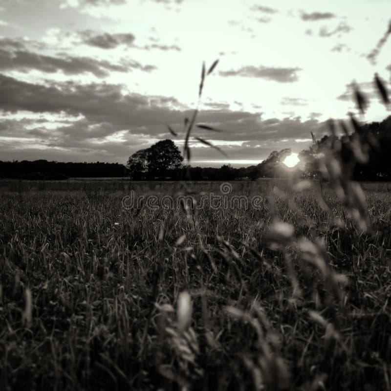 Vintage image with a field stock photo. Image of clouds - 201283924