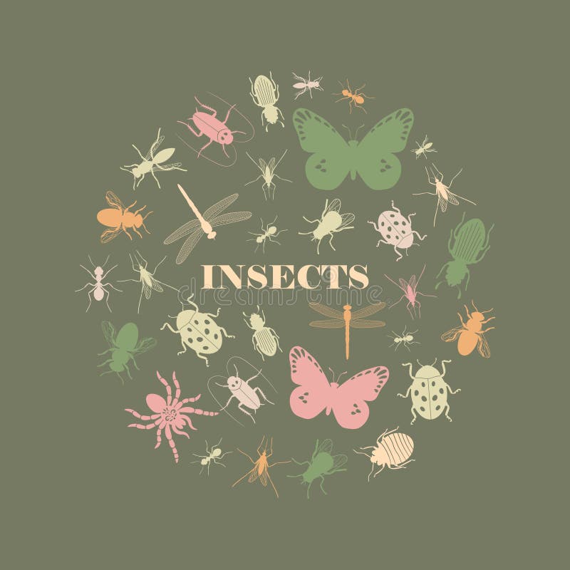 Vintage Insect Icons Round Shape Stock Vector - Illustration of ...