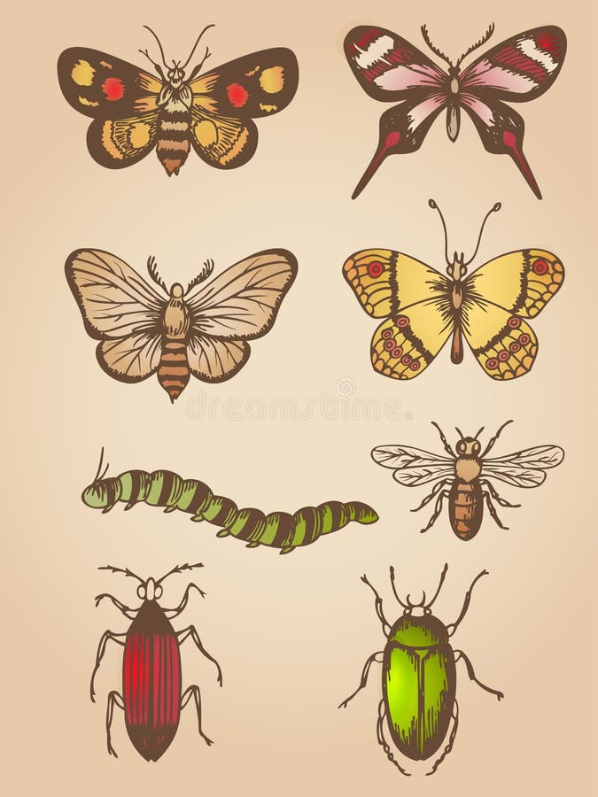 Vintage tea stock vector. Illustration of dish, sugar - 22016665