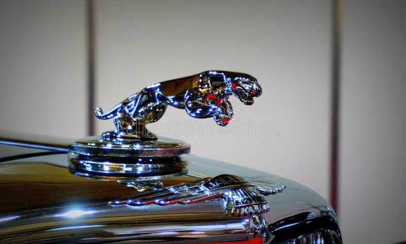 267 Old Jaguar Car Logo Stock Photos - Free & Royalty-Free Stock Photos ...