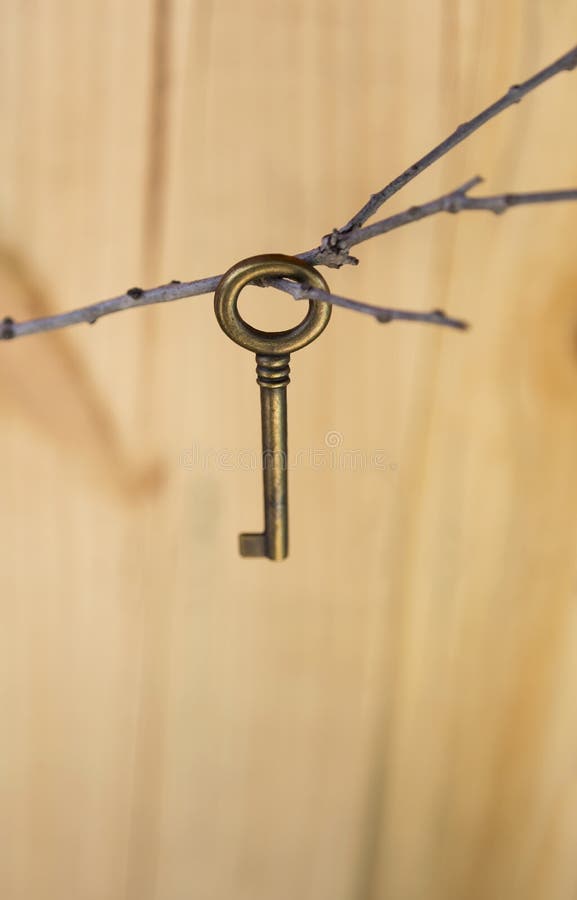 Vintage Key Hanging on Wood Stick Stock Photo - Image of abstract ...