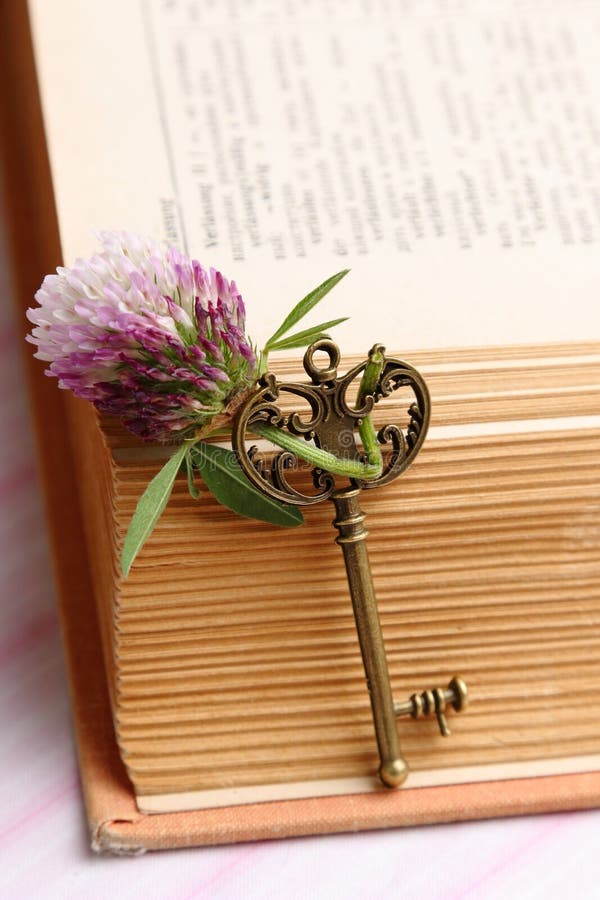 483 Vintage Key Paris Stock Photos - Free & Royalty-Free Stock Photos ...