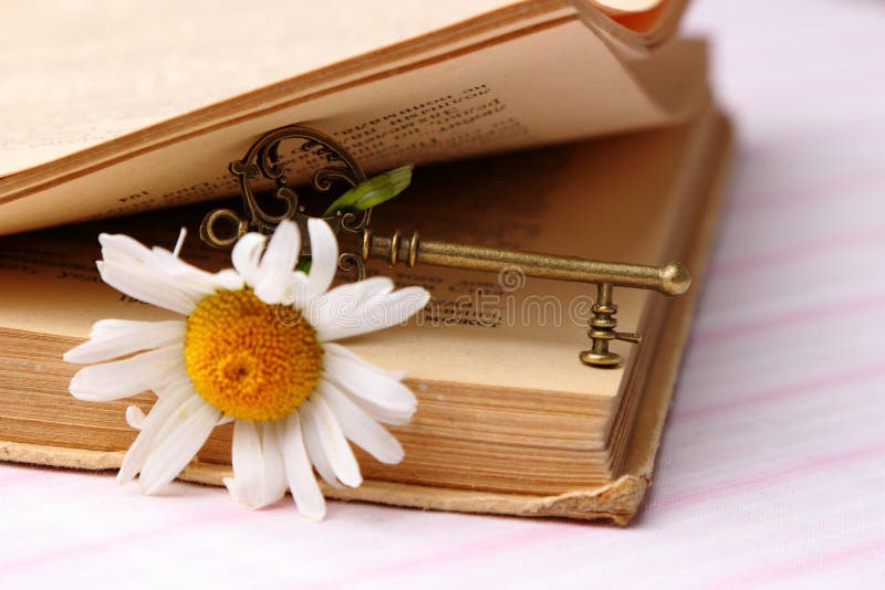 483 Vintage Key Paris Stock Photos - Free & Royalty-Free Stock Photos ...