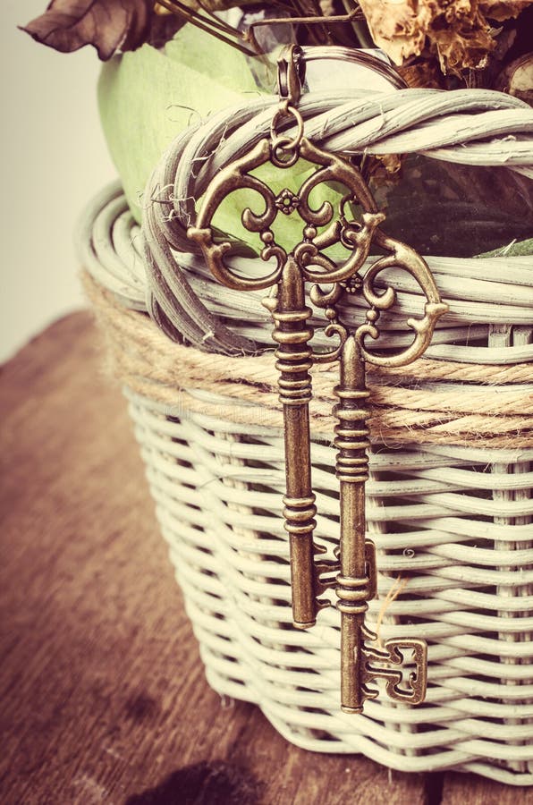 Still Life Fine Art Photography on Concept Vintage with Camera Stock ...