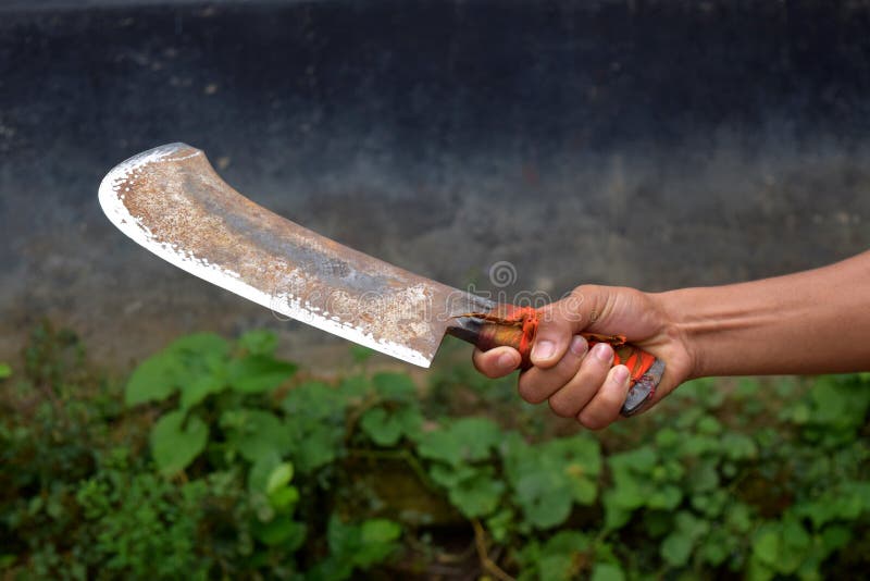 Vintage Kitchen Hatchet on Hand Stock Image - Image of handn, hand ...