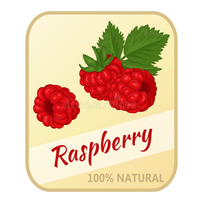 Cartoon Blackberry Label Stock Illustrations – 346 Cartoon Blackberry ...