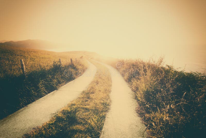 Vintage Landscape Nature Background of Beautiful Cosmos Flower Field on ...