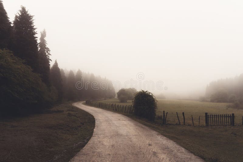 Vintage Landscape with Path on Nature Stock Photo - Image of space ...