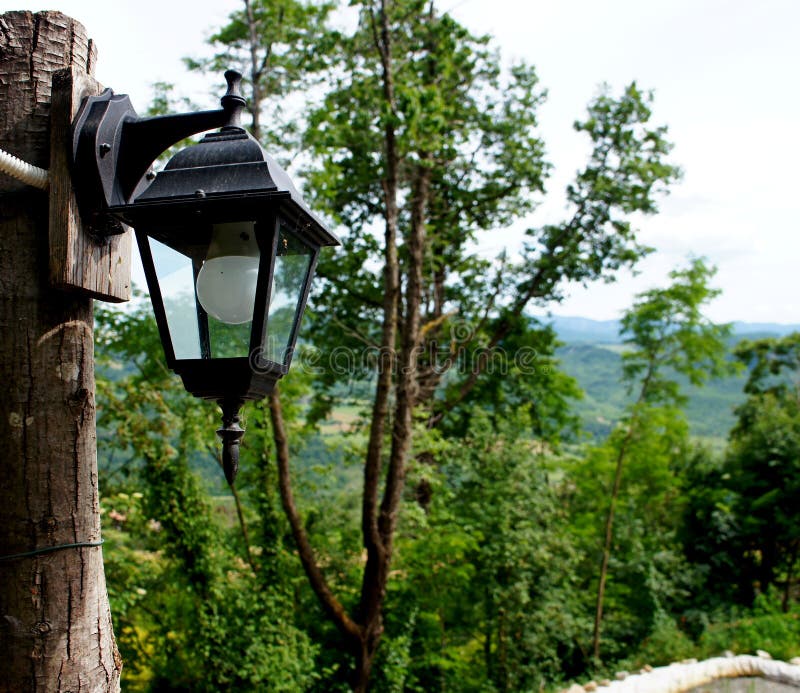 Vintage Lantern in the Forest Stock Photo - Image of sony, light: 185386814