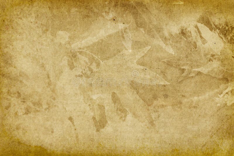 Vintage Leaf Imprint Background Picture. Image: 7786711