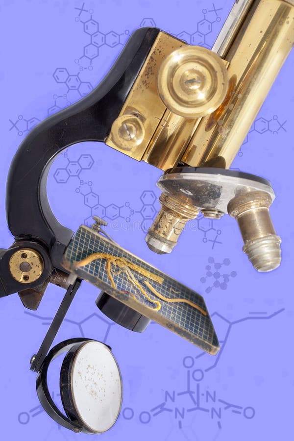 Microscope with sample stock photo. Image of science - 129064654