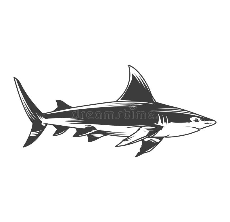 Shark Side View Stock Illustrations – 546 Shark Side View Stock ...