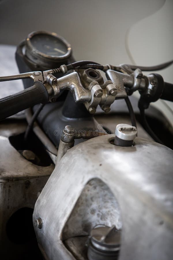 Triple Oak Tree in Autumn stock photo. Image of fall - 54086224