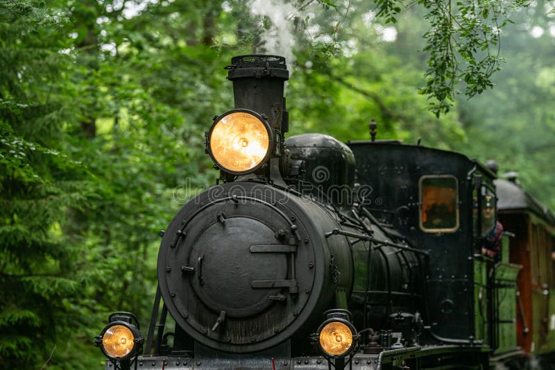 Vintage Museum Steam Train Approaching Green Forest Stock Photos - Free ...