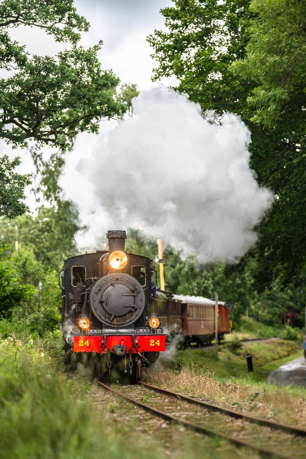 Vintage Museum Steam Train Approaching through Green Forest.. Stock ...