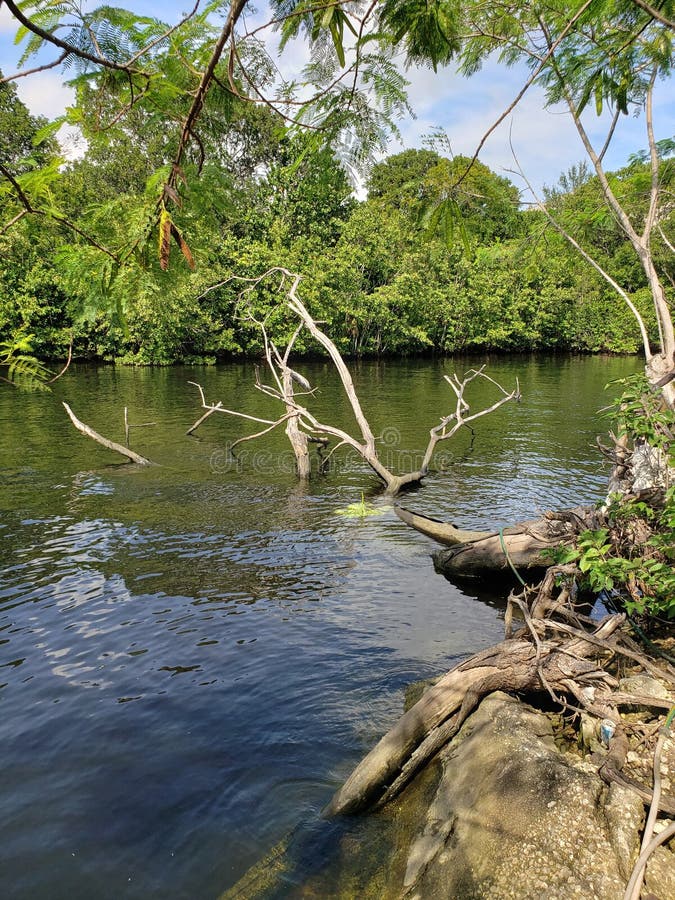 Nature Capture in the West of Ireland Stock Image - Image of beauty ...