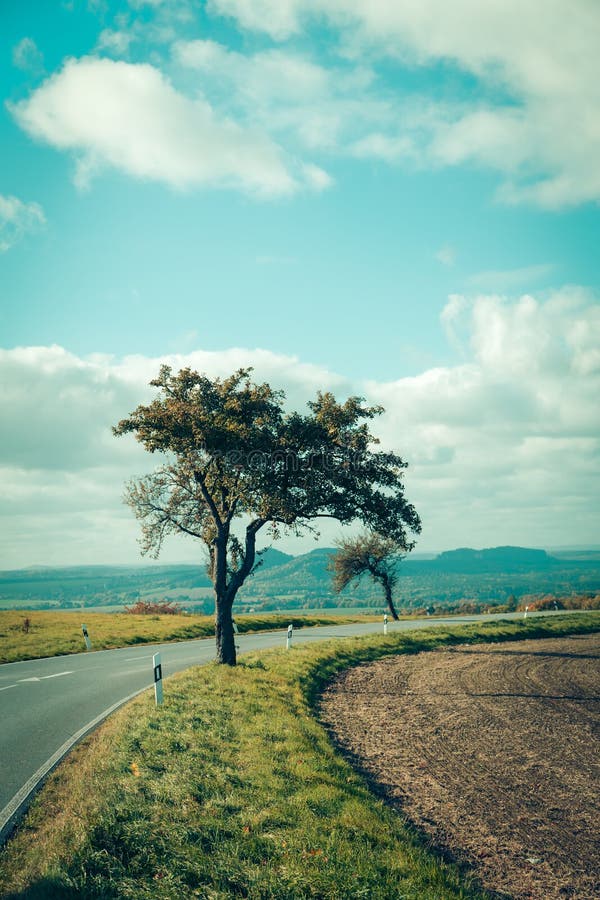 Vintage Nature Design.Old Styled Background Stock Photo - Image of ...