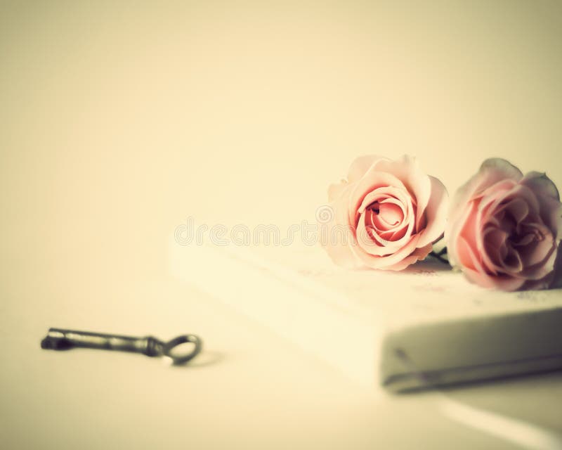 Vintage Floral Coral Sepia Symbol Mandala on Colorful Background ...