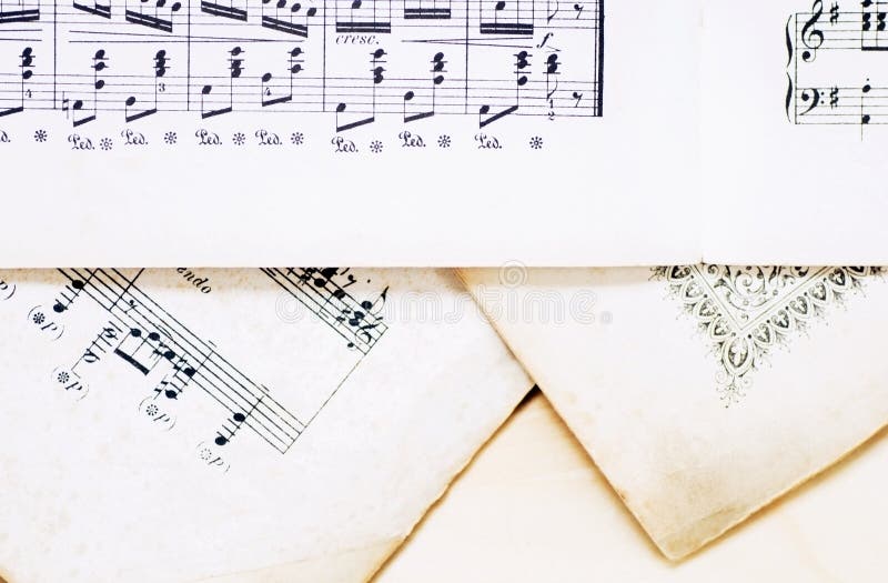 Horizontal Notes Mockup in Forest Stock Photo - Image of book, pattern ...