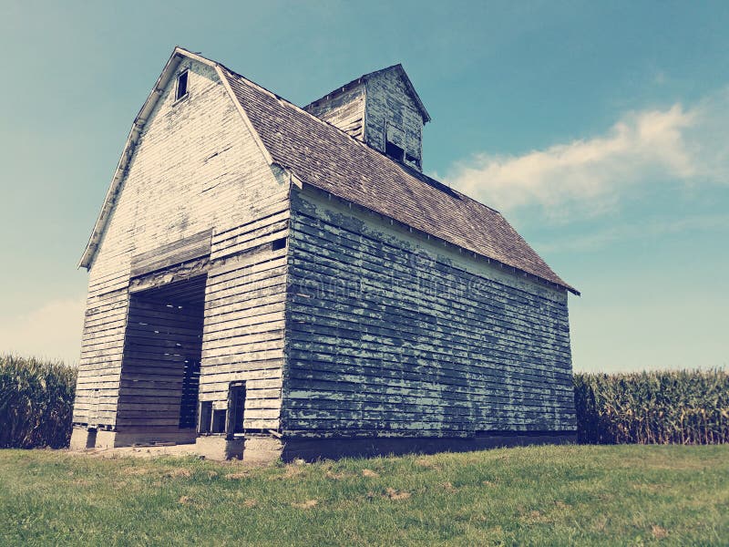 Vintage Old Barn in a Corn Field Stock Image - Image of corn, peeling ...