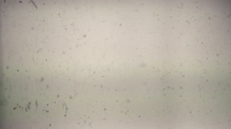 Vintage Old Film Camera Dust and Scratches on the Screen Stock Video ...