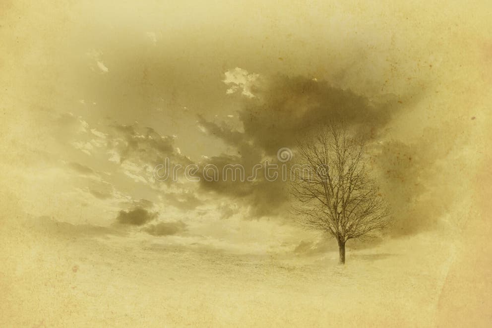 Vintage Old Picture with Alone Tree Stock Photo - Image of environment ...