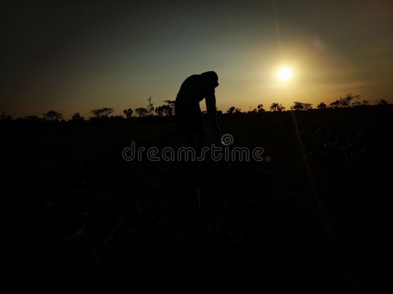 Vintage Old Sunset Human Java Stock Photo - Image of sunset, sunlight ...
