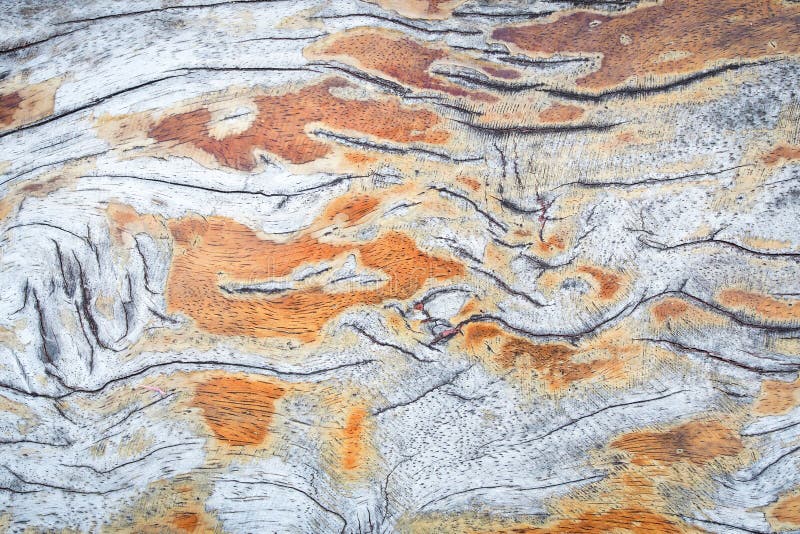 Vintage Old Wood Pattern Ideal As a Background Stock Image - Image of ...