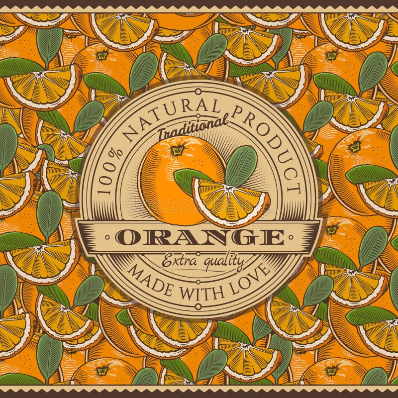 Orange in Vintage Style. Colored Vector Illustration Stock Vector ...