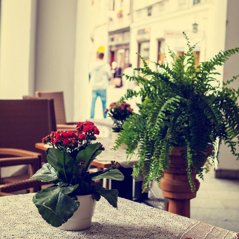 Vintage outdoor restaurant stock image. Image of beautiful - 42450415