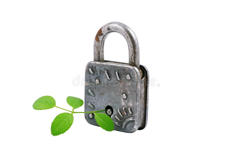 Vintage Padlock and Green Plant, Stock Image - Image of detailed ...