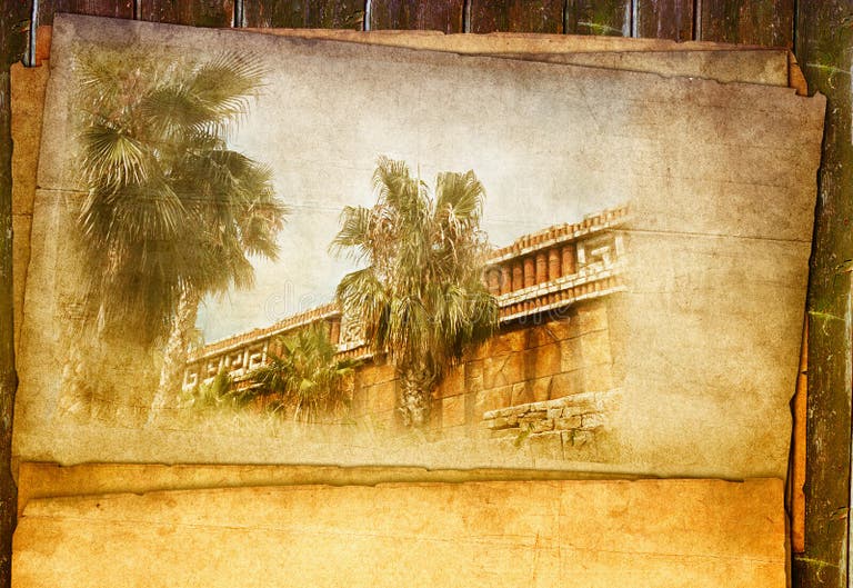 Vintage Palm Tree Pattern Stock Illustrations – 48,780 Vintage Palm ...