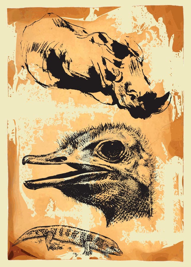 Vintage paper and animals stock vector. Illustration of biology - 12682964