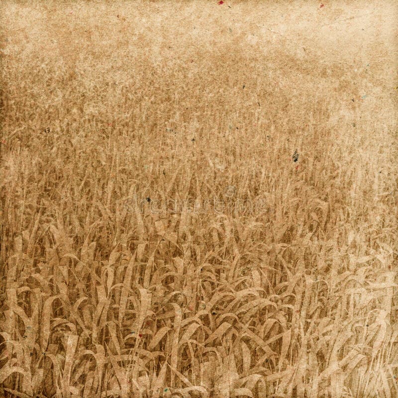 Vintage Paper. Field of Wheat. Stock Image - Image of plant, land: 67133581