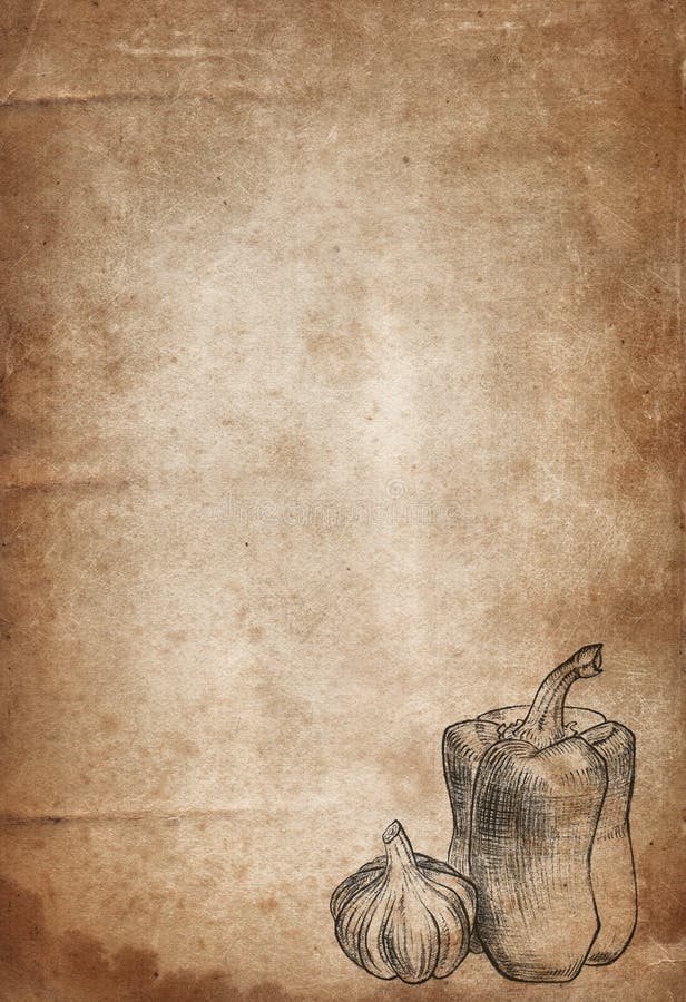 Vintage Paper with Hand Drawn Pepper and Garlic. Restaurant Menu Stock ...