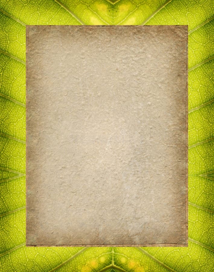 Old paper leaf stock photo. Image of antique, scrapbook - 4350554