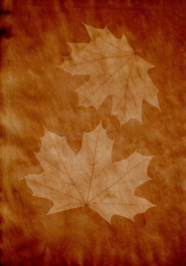 Vintage Paper with Maple Leaf Stamp Stock Illustration - Illustration ...