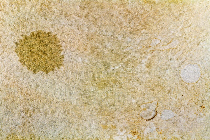 Vintage Paper Texture With Oil Stain. Abstract Background Stock Photo ...