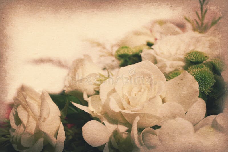 Vintage Paper Texture, White Roses Bouquets Stock Photo - Image of ...